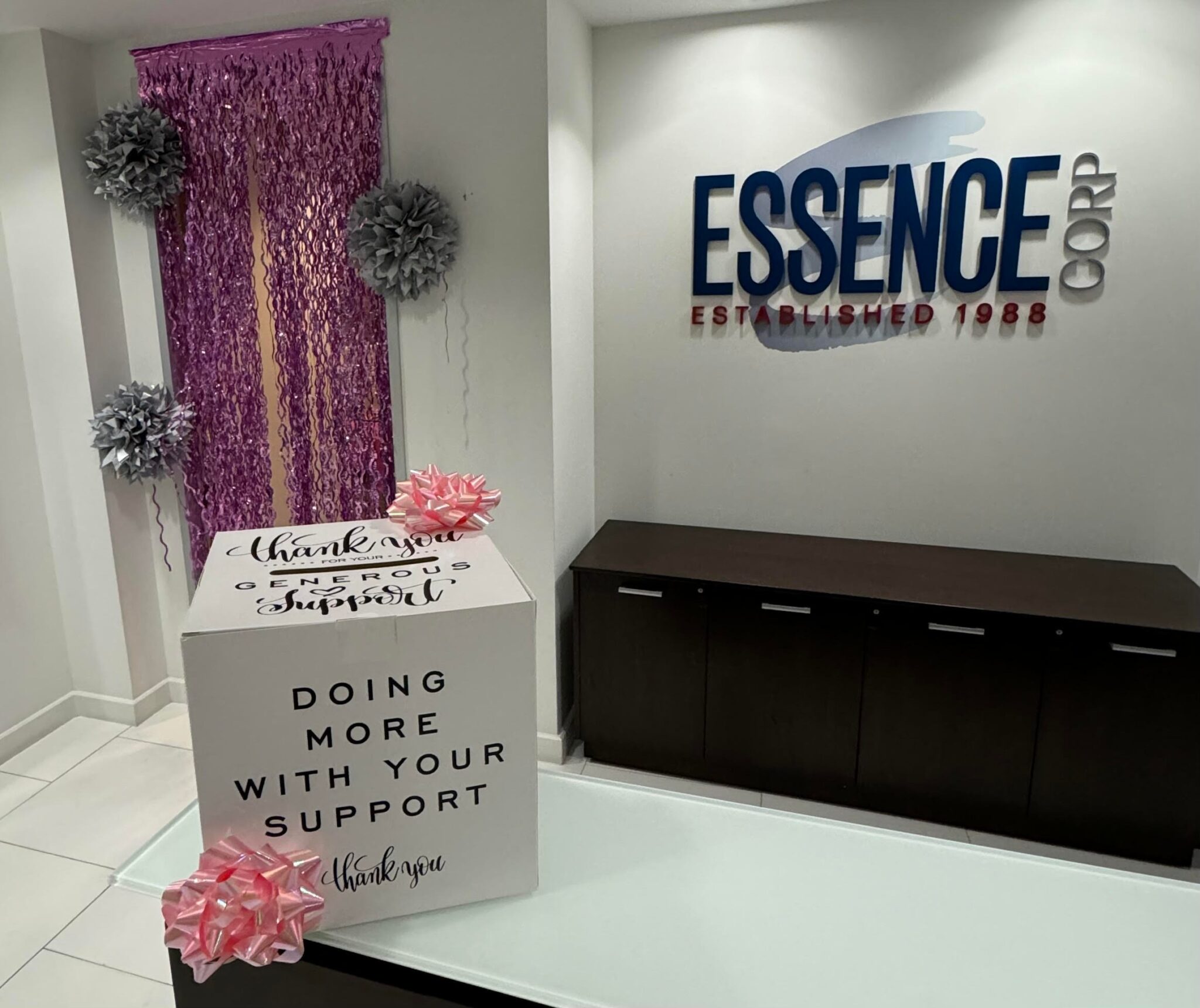 Corporate responsibility - Essence Corp